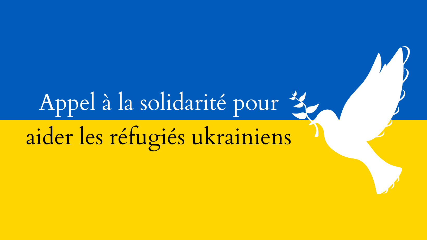 Appel à la solidarité pour aider les réfugiés de guerre - Voyages Moldavie